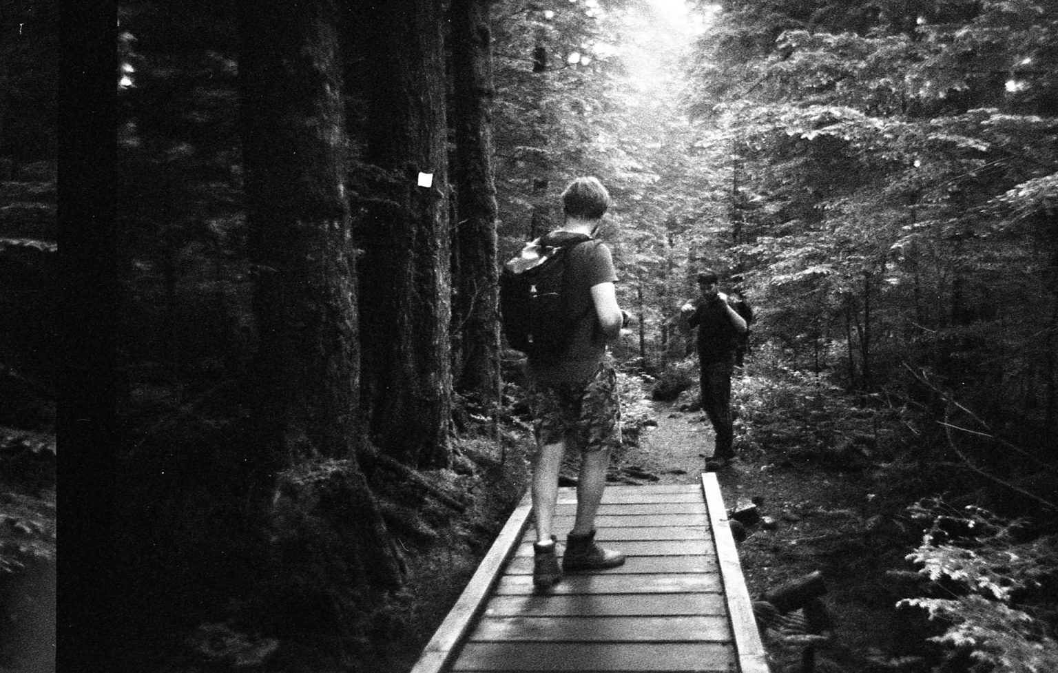 Rodinal should be your first black and white film developer: here's why