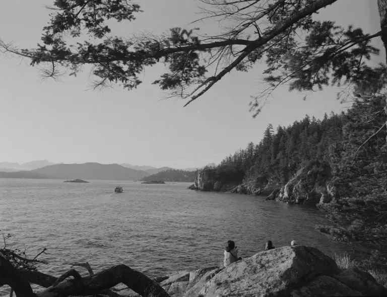 Rodinal should be your first black and white film developer: here's why