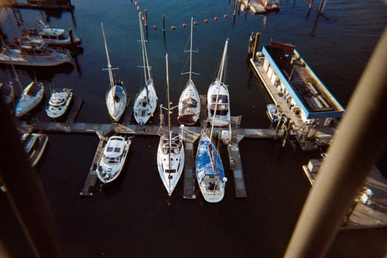 6 Months with the Ilford Sprite 35-II (With Photos!) | Learn Film ...