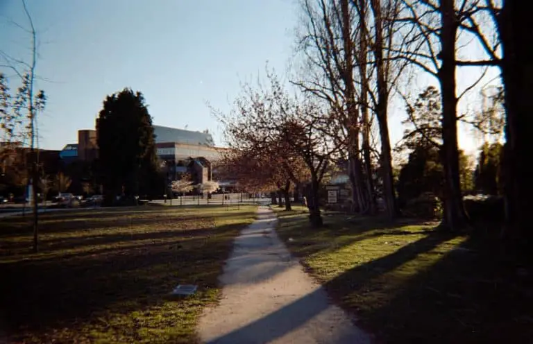 6 Months with the Ilford Sprite 35-II (With Photos!) | Learn Film ...