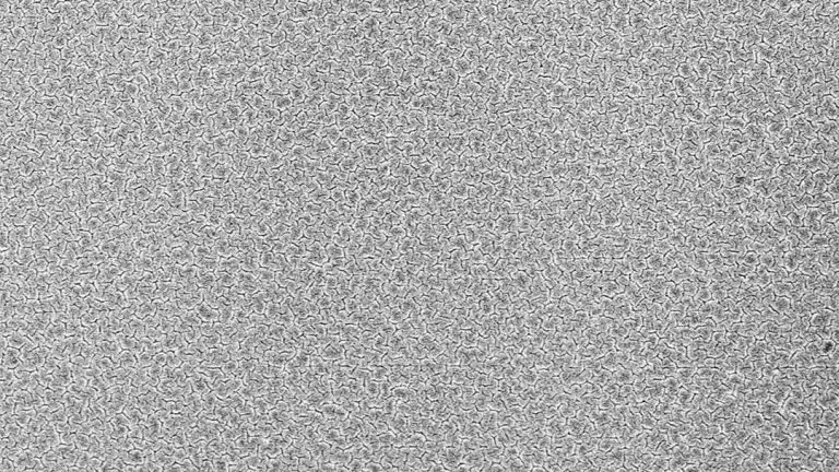 28 Film Developing Problems and How to Solve Them (with photos)