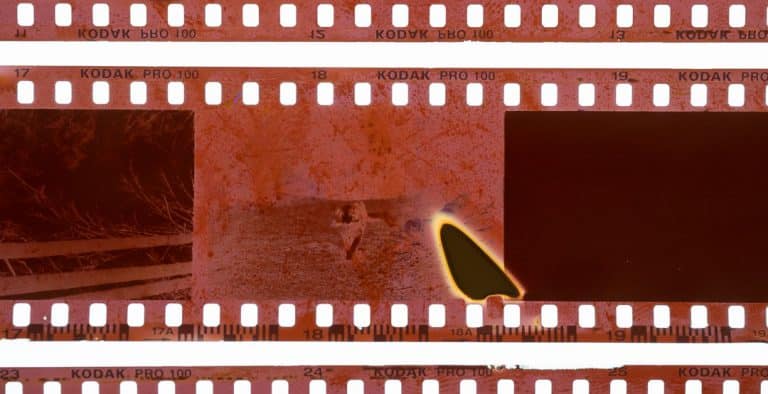 28 Film Developing Problems and How to Solve Them (with photos)