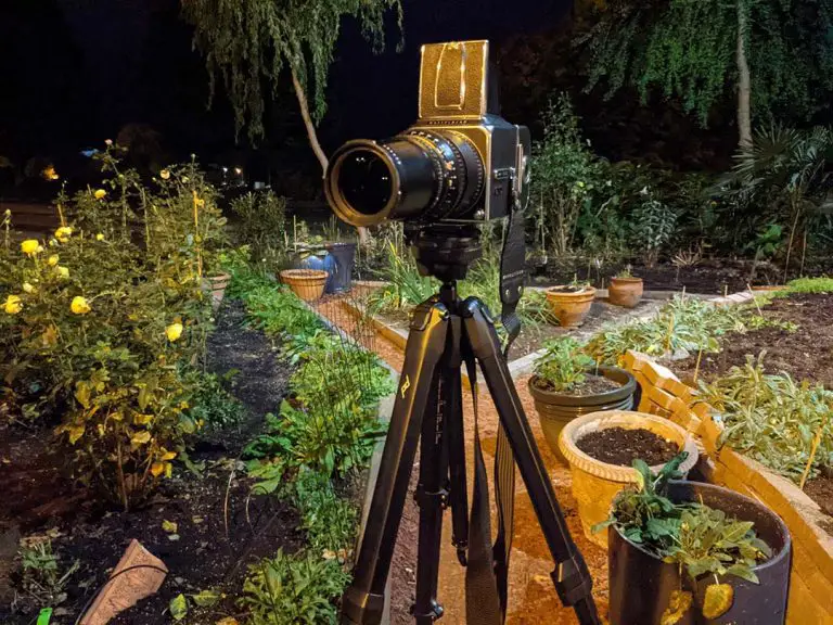 A beginner's guide to medium format film photography | Learn Film ...