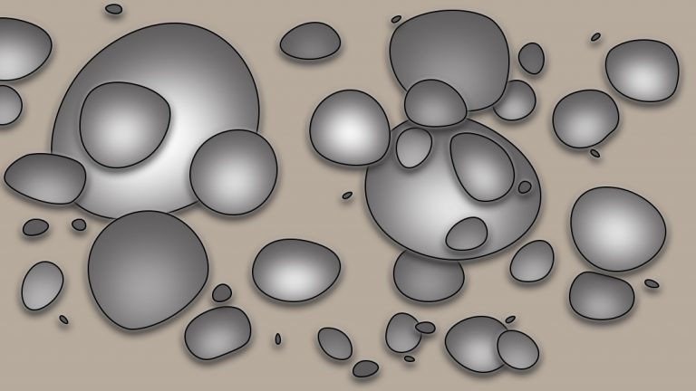 How do film grains work? (with photos!) | Learn Film Photography