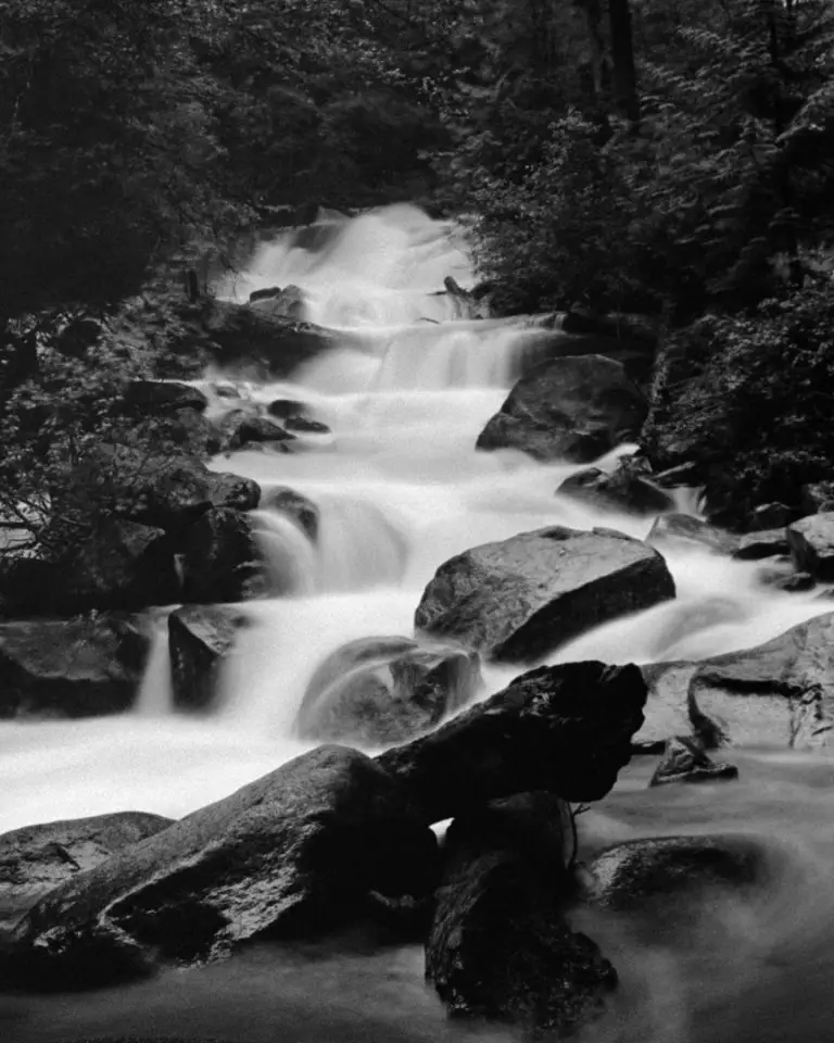 How to capture stunning landscapes on film | Learn Film Photography