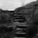 A beginner's guide to medium format film photography | Learn Film ...