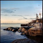 How to capture stunning landscapes on film | Learn Film Photography