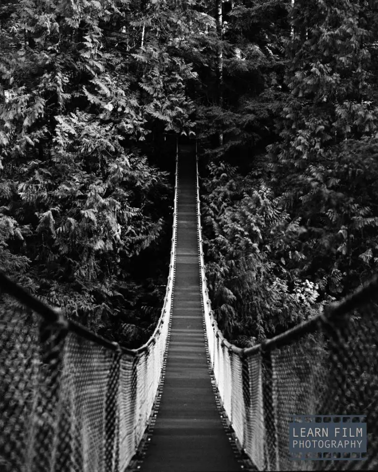 How do I choose the right ISO for film photography