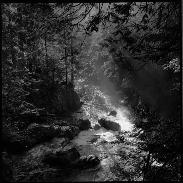 How to get perfect exposures with a manual film camera