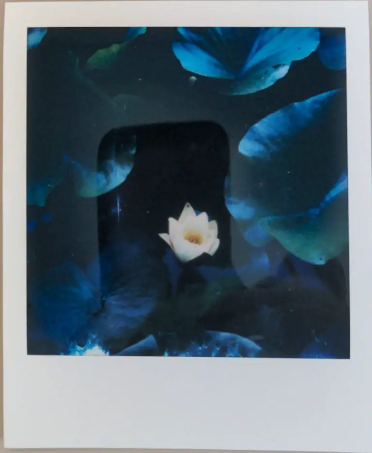 How do I scan Polaroid and Instax film? 4 devices compared