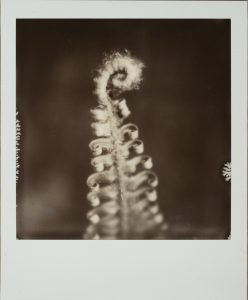 How do I scan Polaroid and Instax film? 4 devices compared