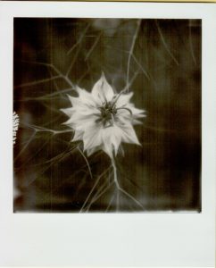 How do I scan Polaroid and Instax film? 4 devices compared