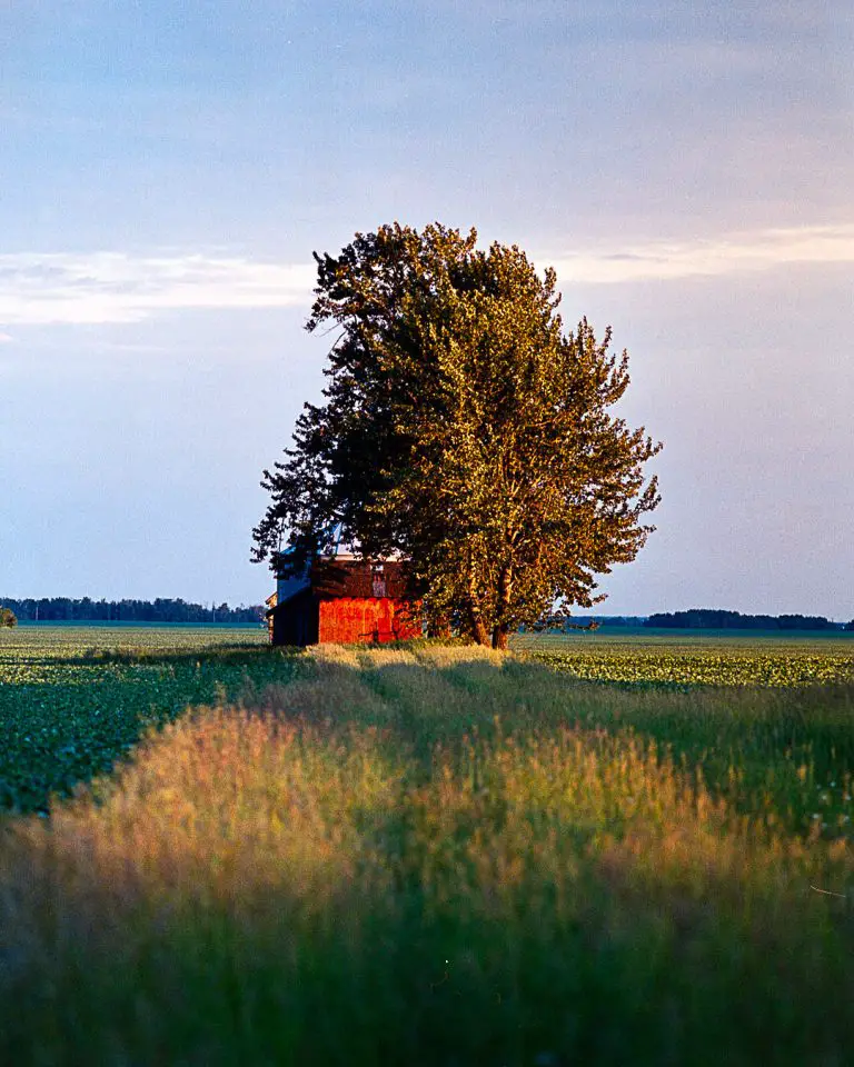 Cinestill CS41 kit review: are these kits worth purchasing?