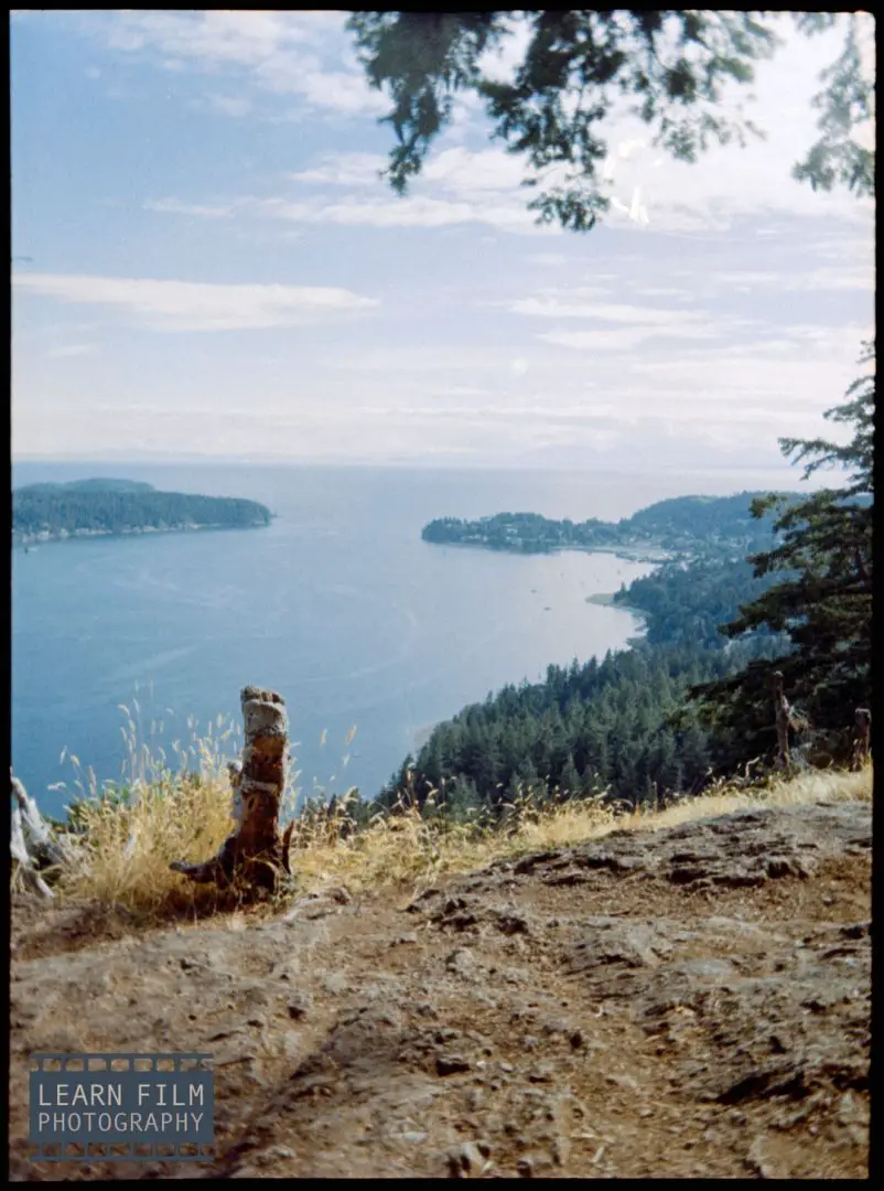 How to Shoot Kodak Gold for the Best Possible Photos | Learn Film ...